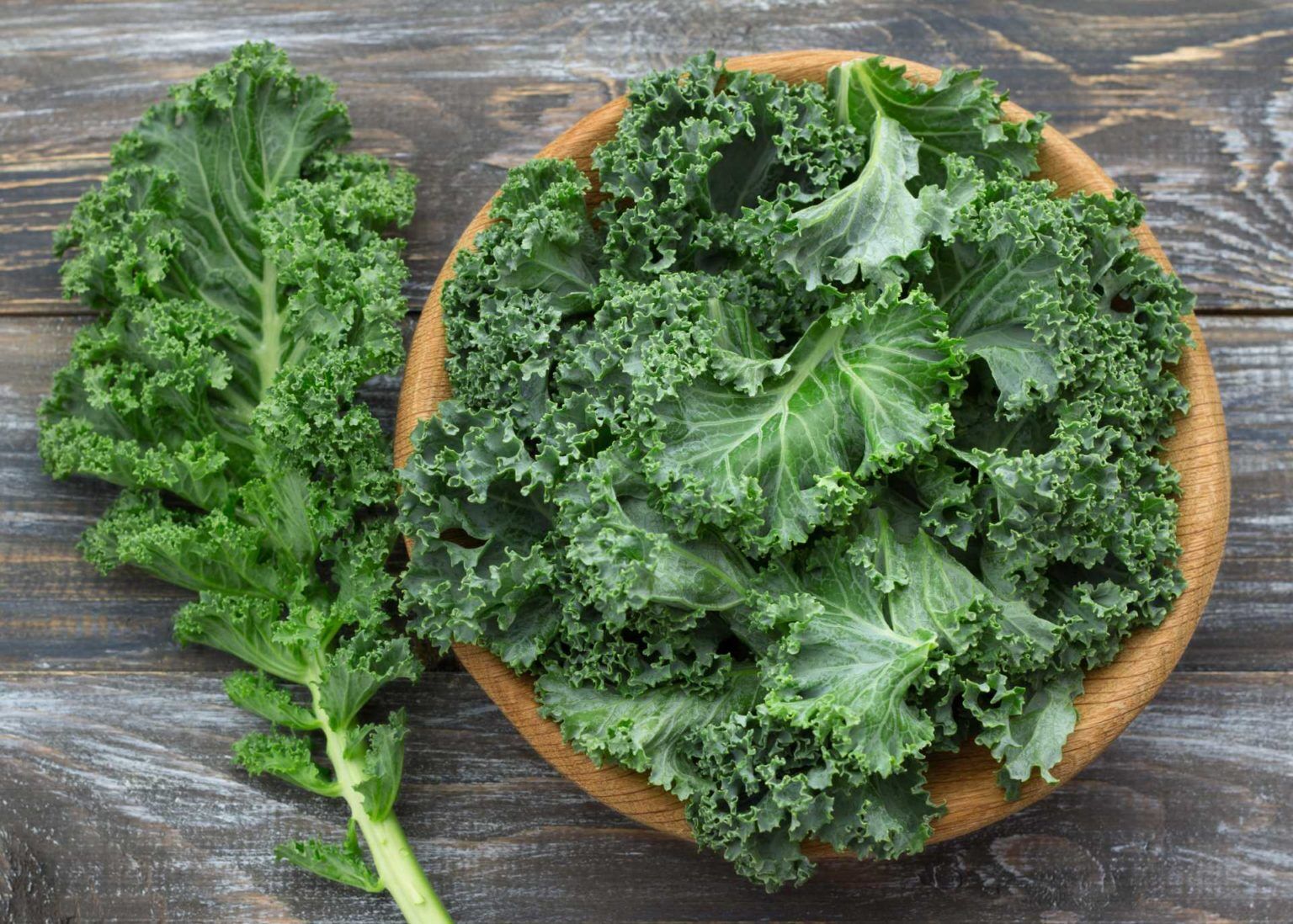 Learn About Kale - Kids Are Great Cooks